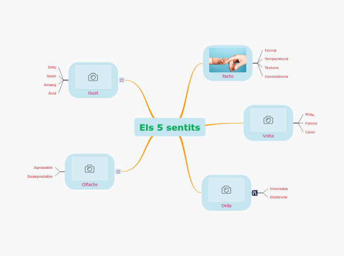 Els 5 sentits - Mind Map